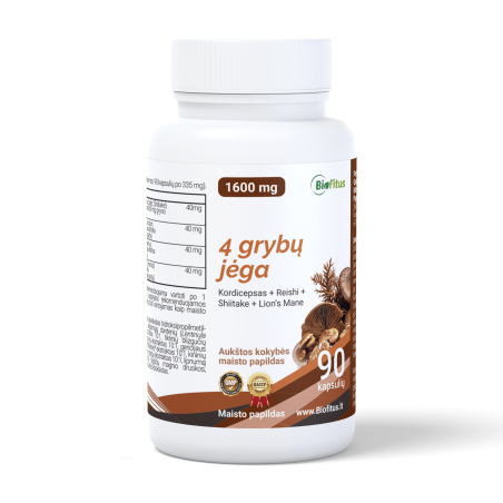 4 grybų jėga: medicininiai grybai