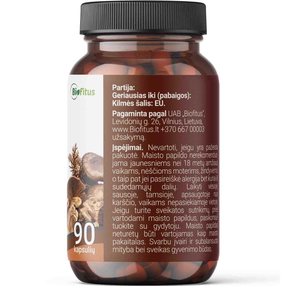 4 grybų jėga: medicininiai grybai | Biofitus