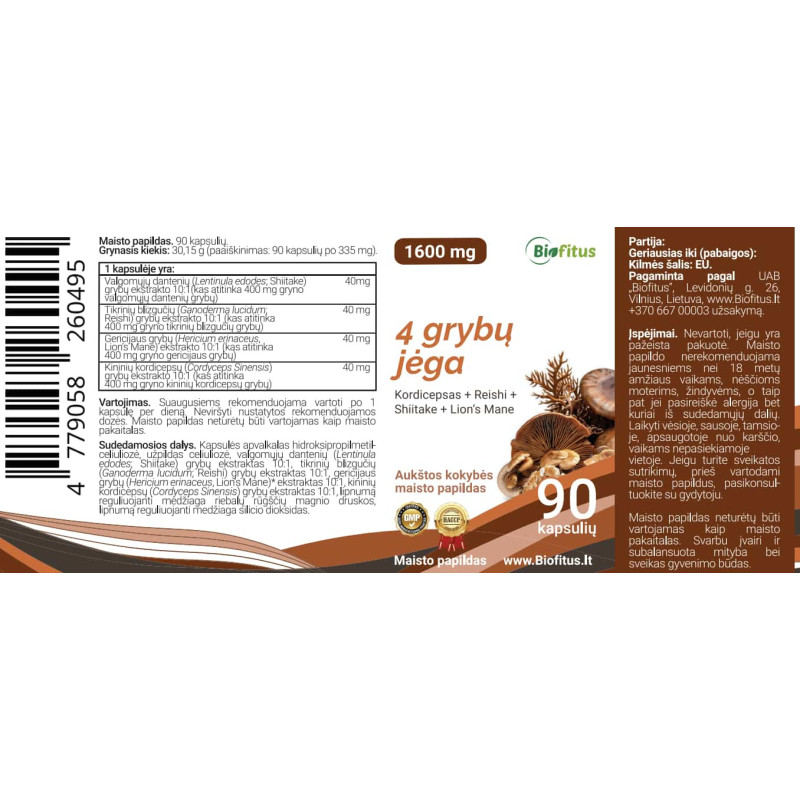 4 grybų jėga: medicininiai grybai